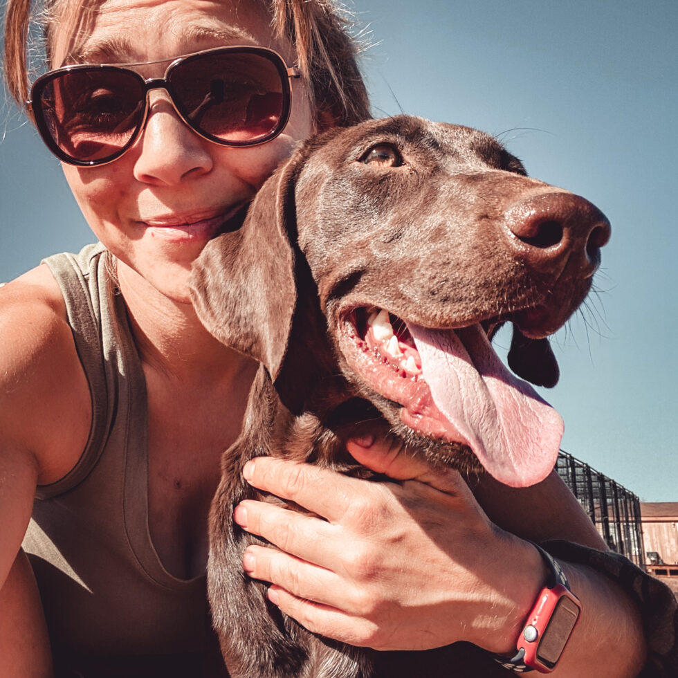 German Shorthaired Pointer Coloring & Patterns - Bear Paw Ranch