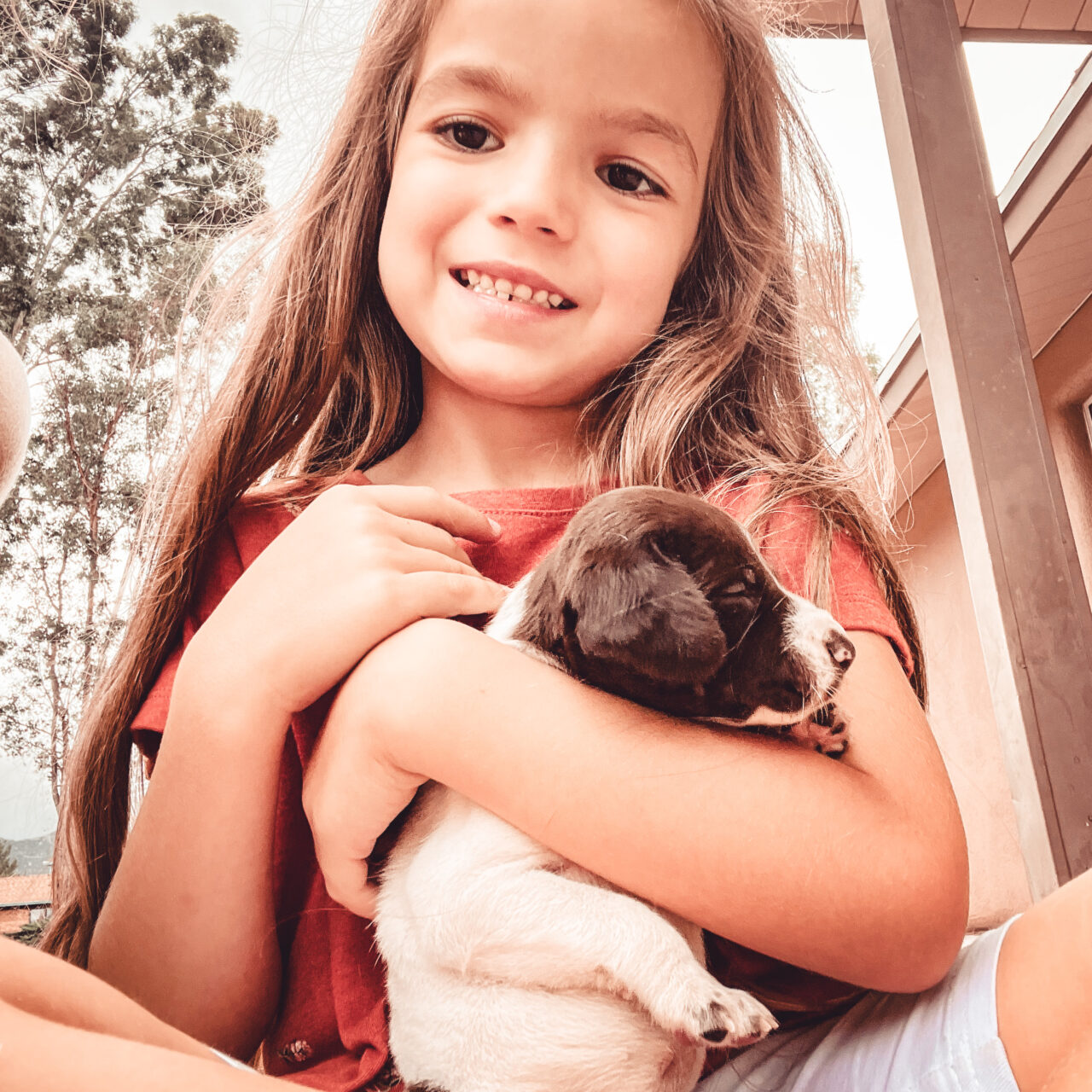 Available Puppies - Bear Paw Ranch